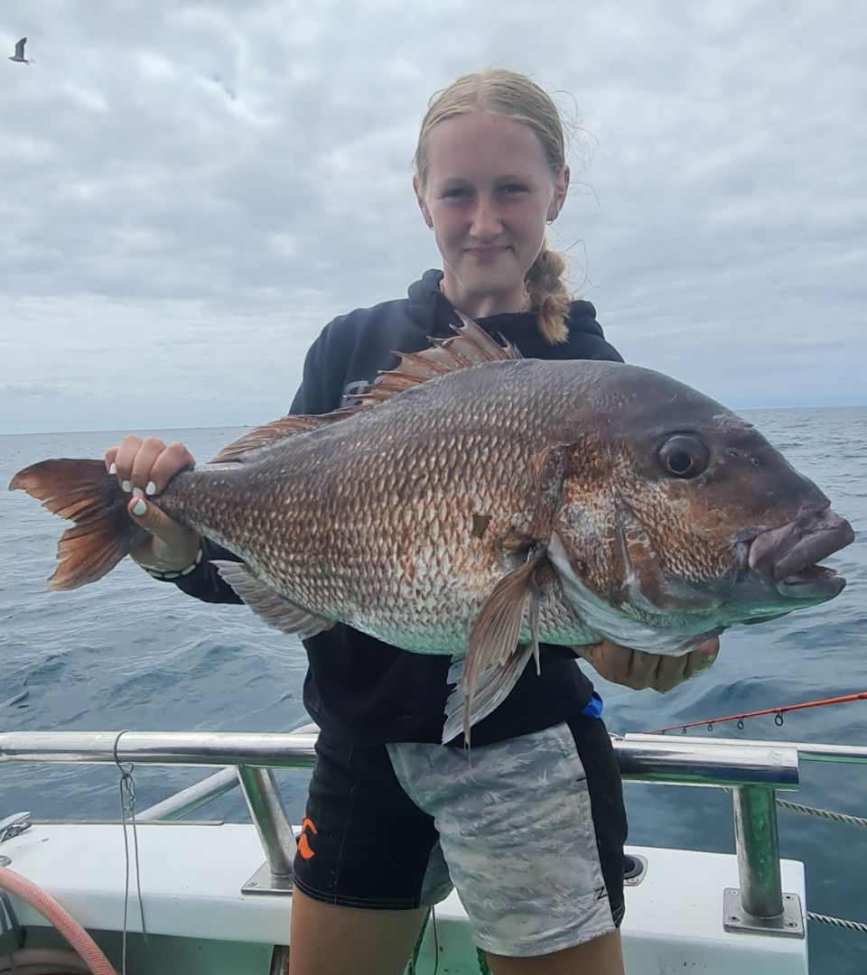 Snapper Species Guide
